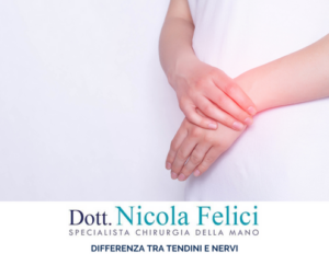 Specialista della mano Dr. Felici, differenza tra tendini e nervi